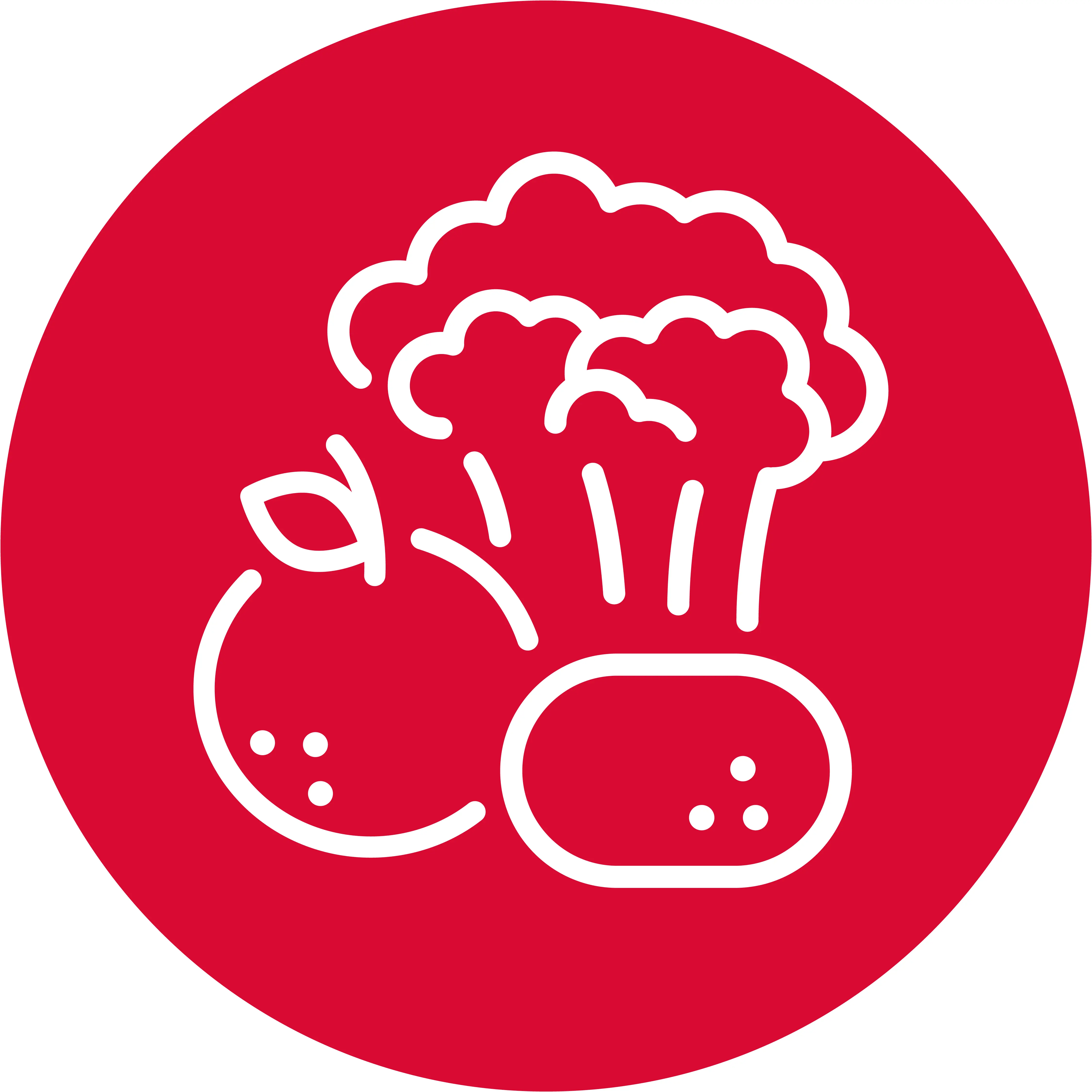 Supermercados Rey - Siempre Fresco